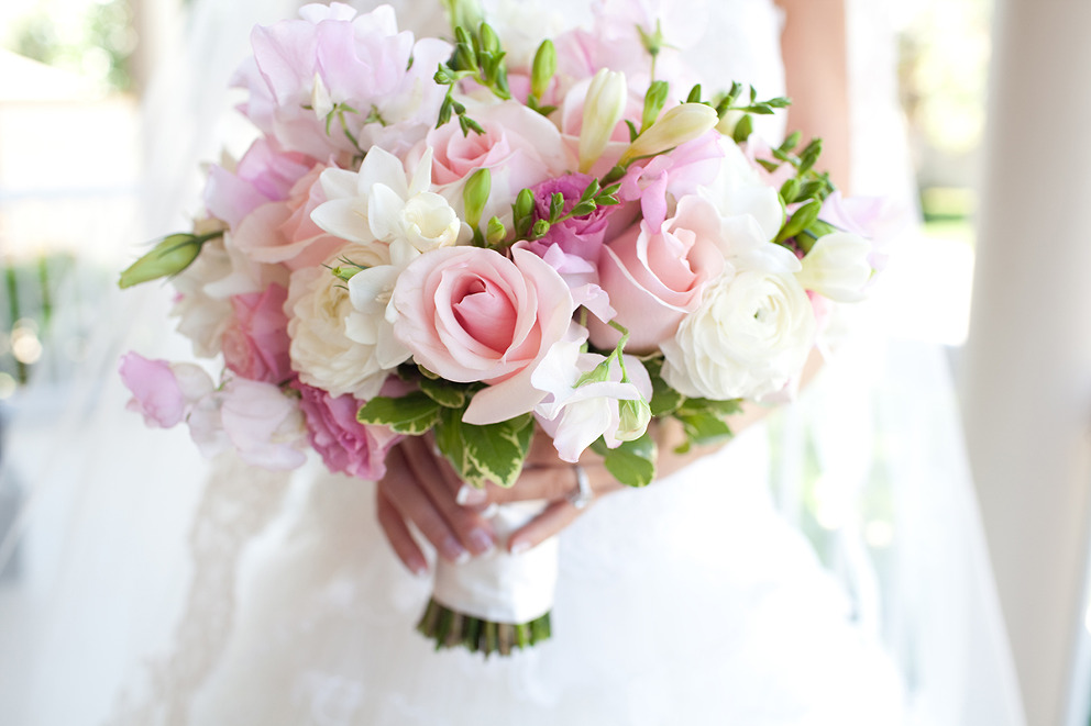 Happy Spring! - Corina V. Photography